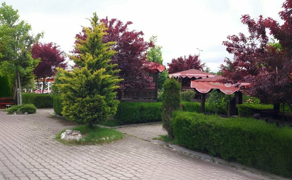 Düğün, toplantı salonu Sakalar Kır Sofrası, Ankara, foto