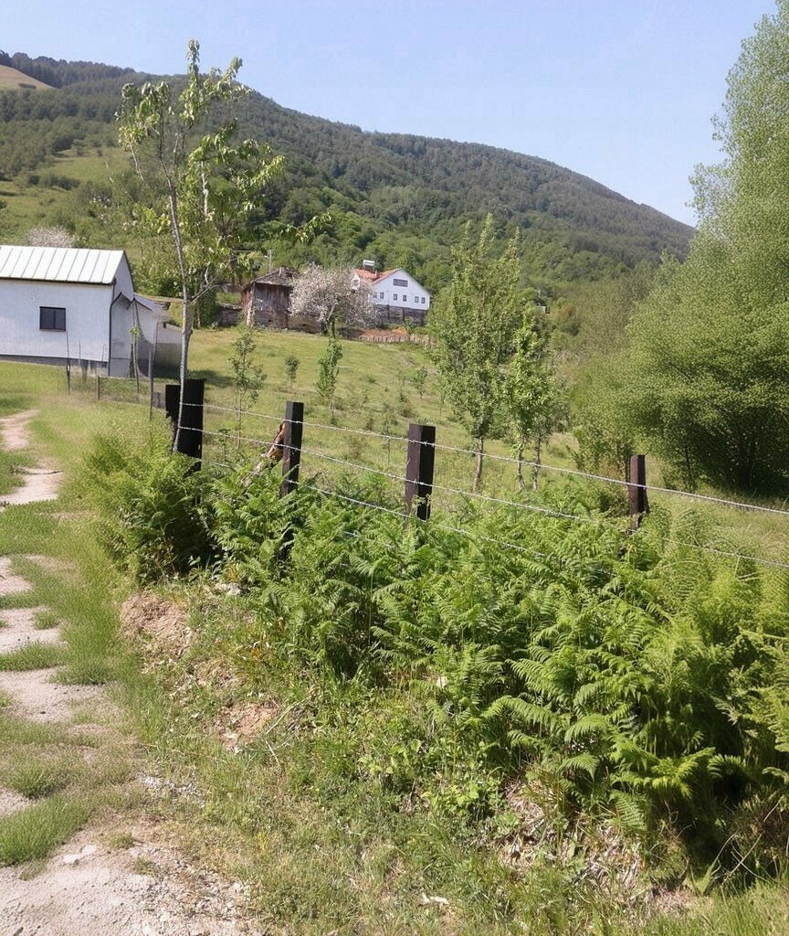 Muhtarlıklar Armutluyazı Köy Muhtarlığı, Ayancık, foto