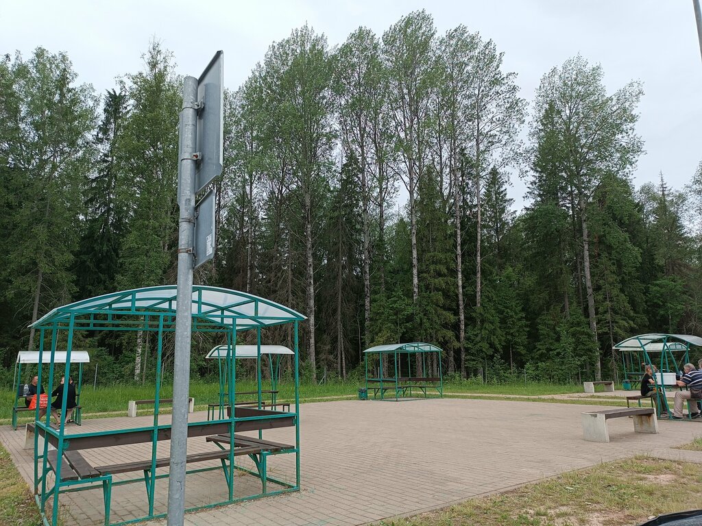 Yol kenarı dinlenme alanı Придорожная зона отдыха, Novgorodskaya oblastı, foto