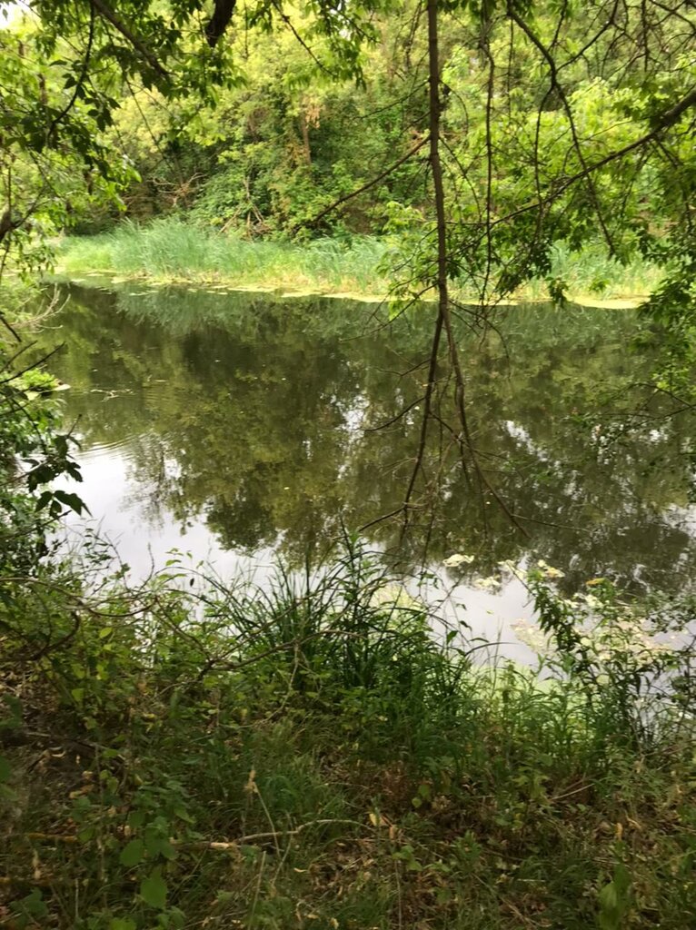 Plaj Пляж, Rostovskaya oblastı, foto