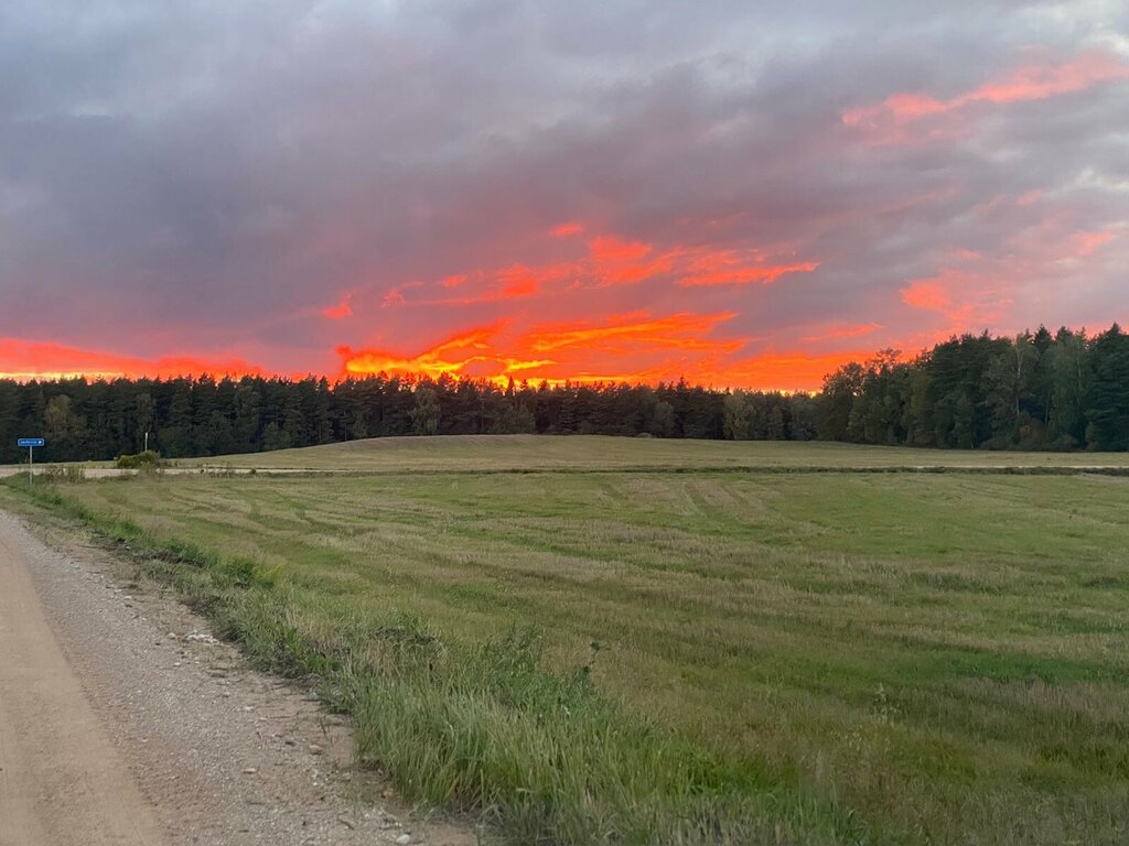 Bahçecilik dernekleri ve kuruluşları Сябры-83, Minskaya oblastı, foto