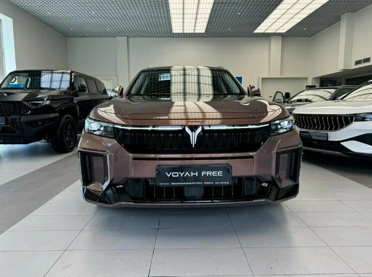 Otomobil satış galerileri Voyah Автолига, официальный дилер, Nijegorodskaya oblastı, foto