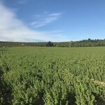 Gezerspace (İzmir, Torbalı, Yazıbaşı Mah.), sanayi kuruluşu  Torbalı'dan