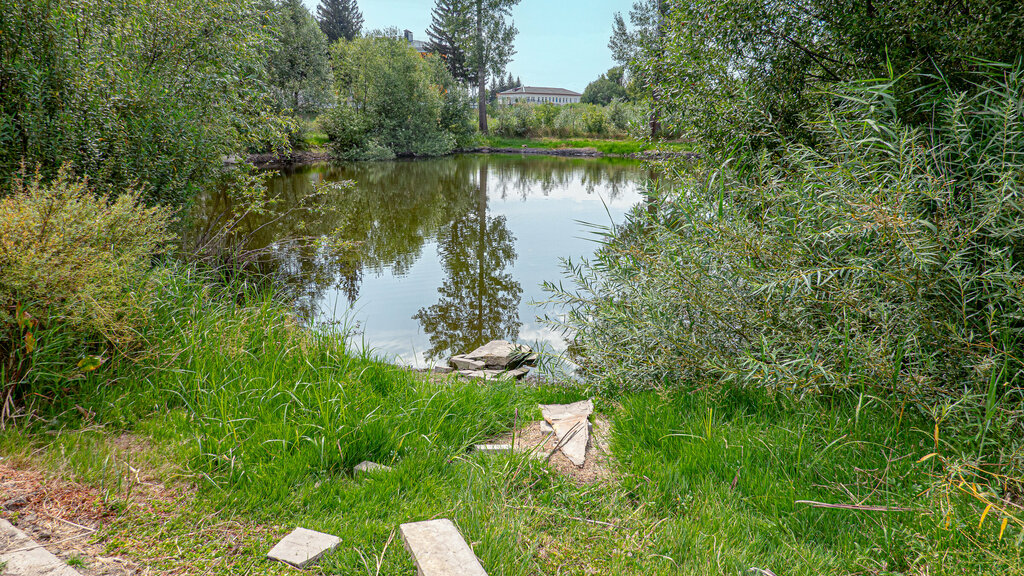 Plaj Пляж, Belgorodskaya oblastı, foto