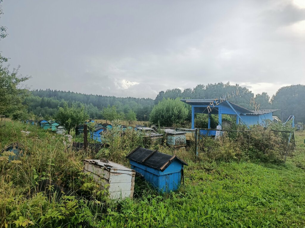 Bal ve arıcılık firmaları Bee Paradise, Moskova ve Moskovskaya oblastı, foto
