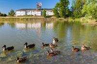 Otel The Originals Access, , foto