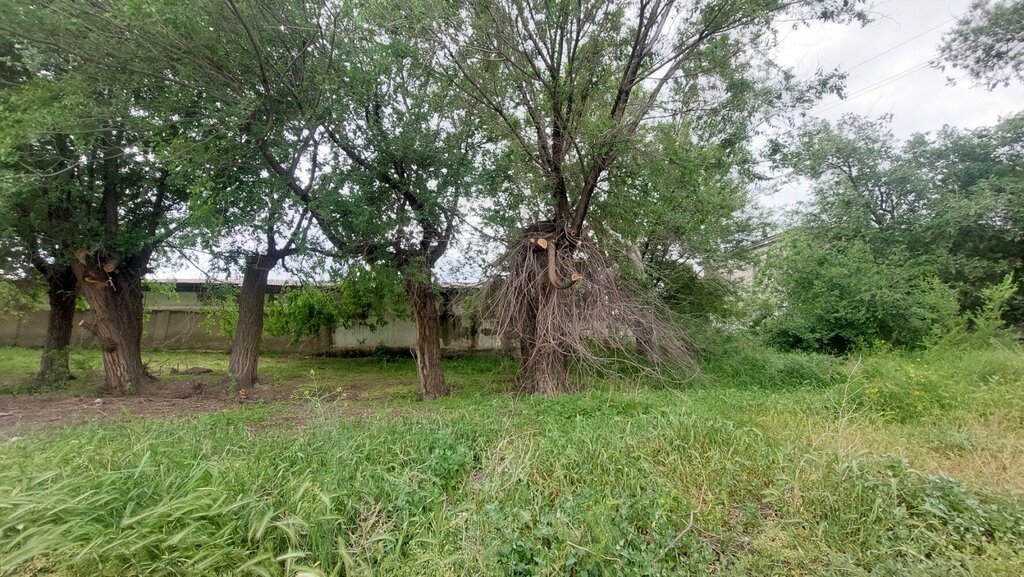 Jant ve lastikçiler Shin Line, Taraz, foto