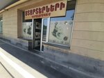 Repair starter (Garegin Nzhdeh Street No:37/10, Yerevan), motor tamiri  Erivan'dan