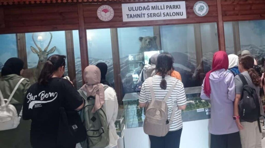 Lise Özlüce Nurettin Topçu Kız Anadolu İmam Hatip Lisesi, Bursa, foto