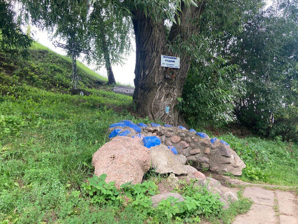 Pınar, çay Spring, stream, Orsha, foto