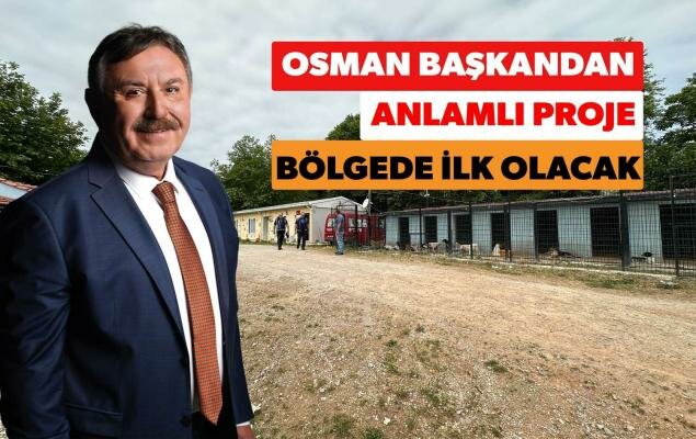 Belediyeler, devlet daireleri Gerze Belediyesi, Gerze, foto
