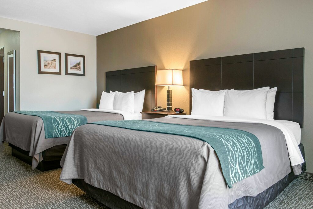 Otel Comfort Inn & Suites Porter near Indiana Dunes, İndiana Eyaleti, foto