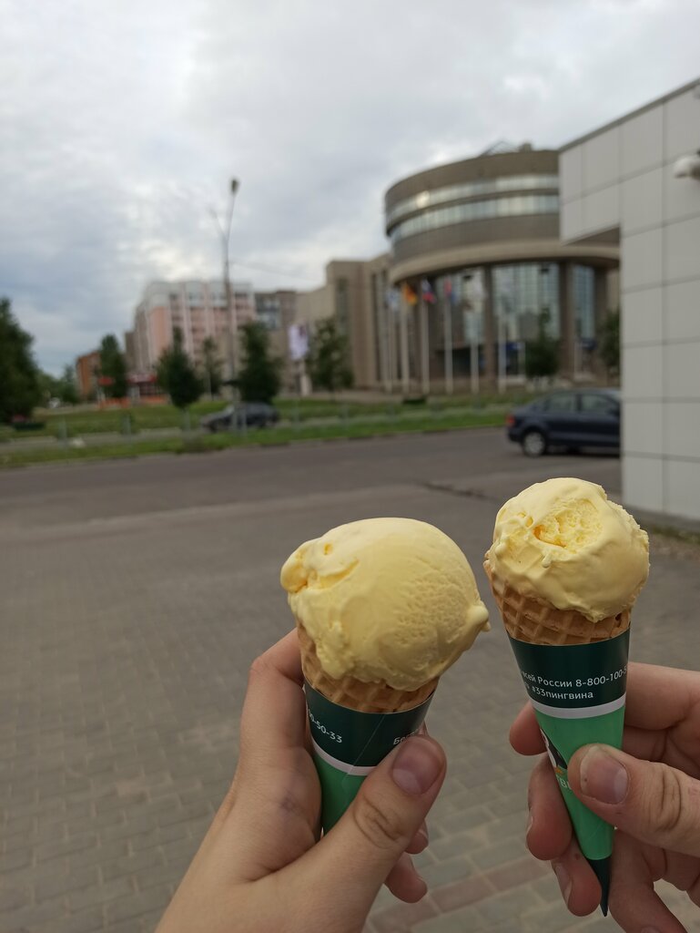 Dondurmacılar 33 пингвина, Udomlya, foto