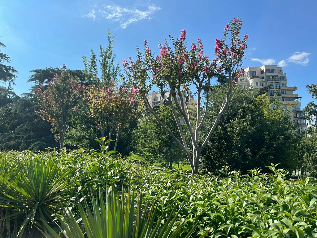 Kültür ve eğlence parkları Vere Park, Tiflis, foto