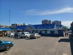 Дачник (Baltiyskaya ulitsa No:12А, derevnya Borisovichi), bahçecilik mağazaları  Pskovskaya oblastından