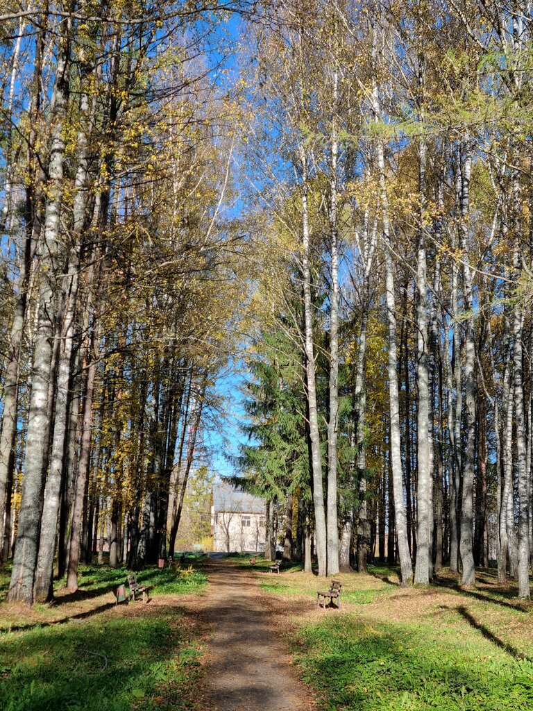 Kültür ve eğlence parkları парк имени Ивана Сусанина, Kostromskaya oblastı, foto