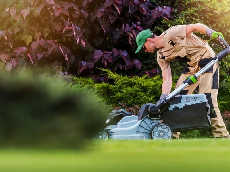 Peyzaj tasarımı Gray To Green, Lima, foto