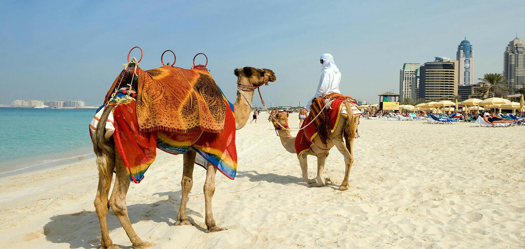 Turizm acenteleri A B T Travel And Tourism, Dubai, foto