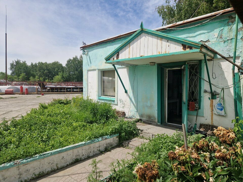 Petrol ürünleri üreticileri Gaztekhoborudovanie, Öskemen (Ust‑Kamenogorsk), foto