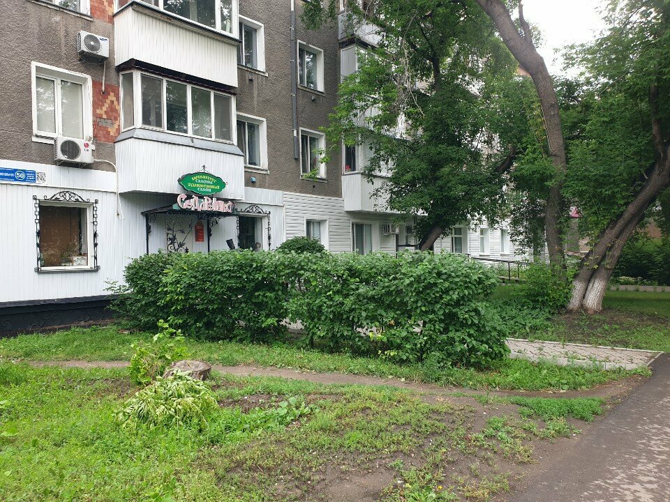 Stil uzmanı, makyöz Lıýbov Lapına, Petropavl (Petropavlovsk), foto