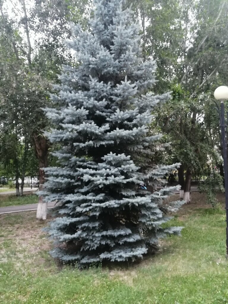 Yönetim ofisi ООО Малинки, Riazanskaya oblastı, foto