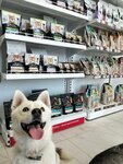 Хаски (Rostov-on-Don, Marshala Zhukova Avenue, 18), pet shop  Rostov‑na‑Donu'dan
