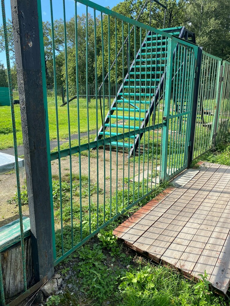 Köpek gezdirme alanları Dog park, Moskova ve Moskovskaya oblastı, foto