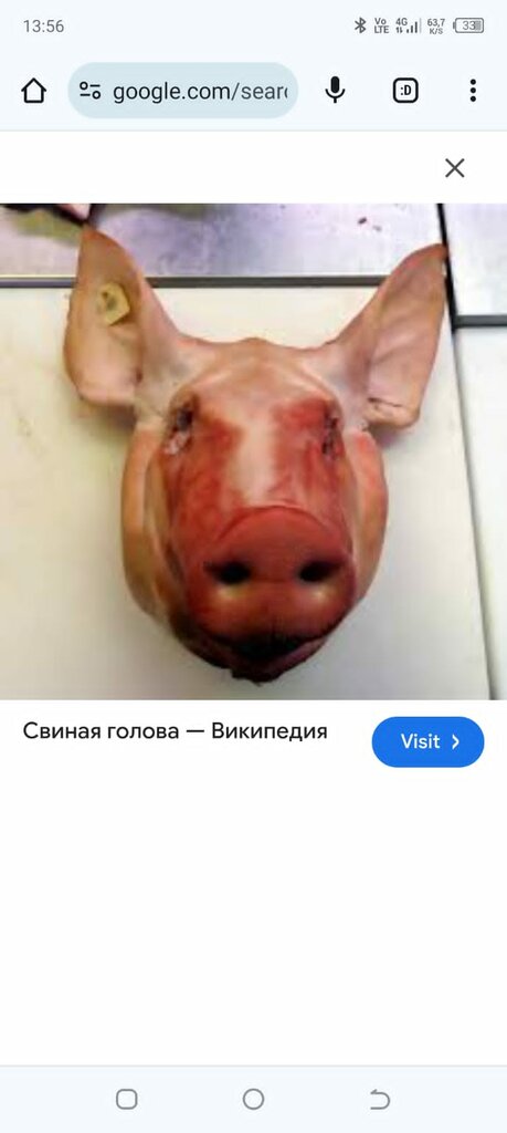 Süpermarket Magnit Moya Tsena, Astrahan, foto