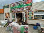 Kivi (Karagandy, rayon imeni Kazybek bi), kuruyemiş, atıştırmalık, kuru meyve  Karağandı'dan
