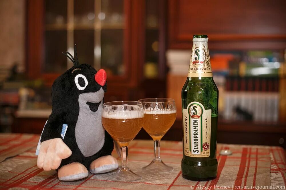 Bira dükkanı Хмельной крот, Moskova ve Moskovskaya oblastı, foto