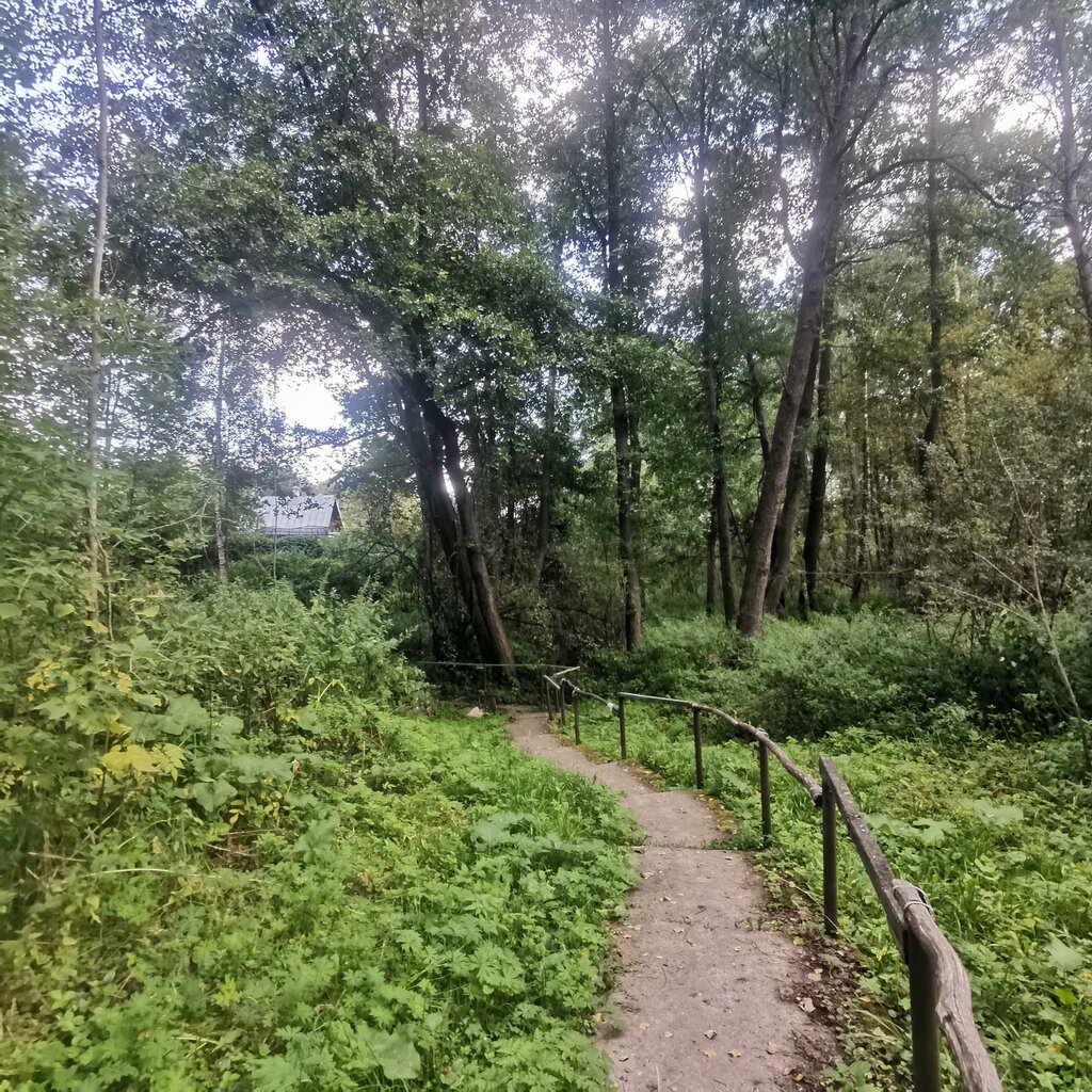 Pınar, çay Spring, stream, Moskova ve Moskovskaya oblastı, foto