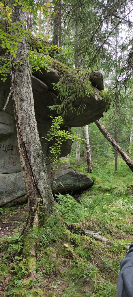 Piknik alanı Стоянка туристов, Yekaterinburg, foto