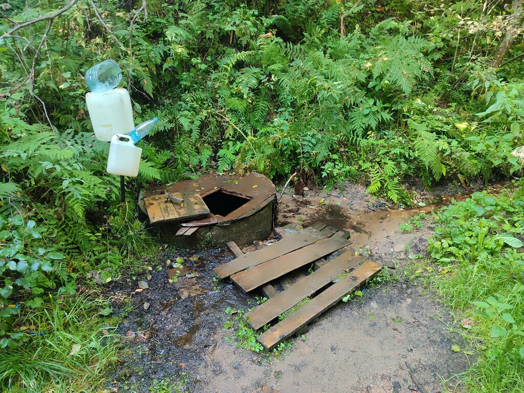 Pınar, çay Spring, stream, Saint‑Petersburg ve Leningradskaya oblastı, foto