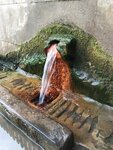 Spring, stream (kray Kvemo Kartli, Bolnisi Municipality), pınar, çay
