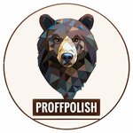 Proffpolish (Patsaeva Street No:16Ак2, Penza), detaylı oto bakımı  Penza'dan