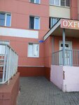 Proabss digital (A.P. Mistyukova Street No:6), web tasarım hizmetleri  Lipetsk'ten