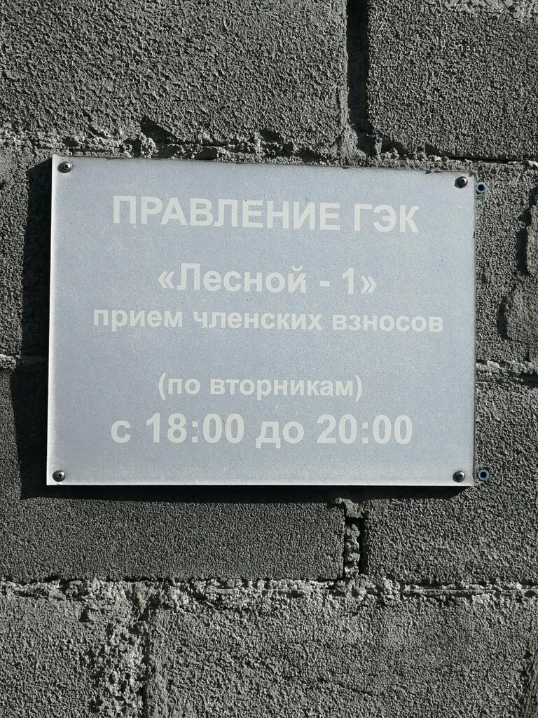 Garajlar ГК Лесной-1, Sverdlovskaya oblastı, foto