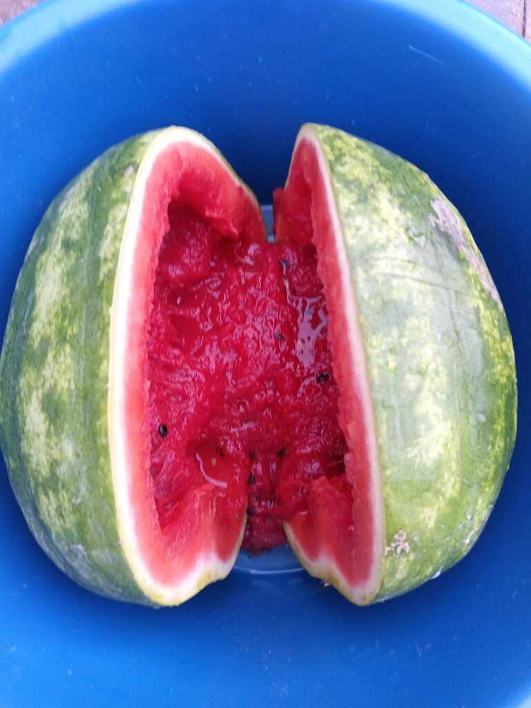 Süpermarket Монетка, Permski krayı, foto