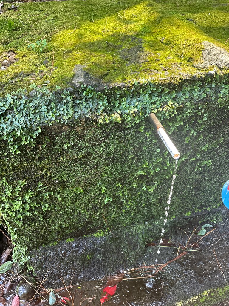 Pınar, çay Spring, stream, Batum, foto