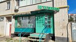 Ветеринарная клиника (Teplichnaya street No:2Б), veteriner klinikleri  Voronej'den