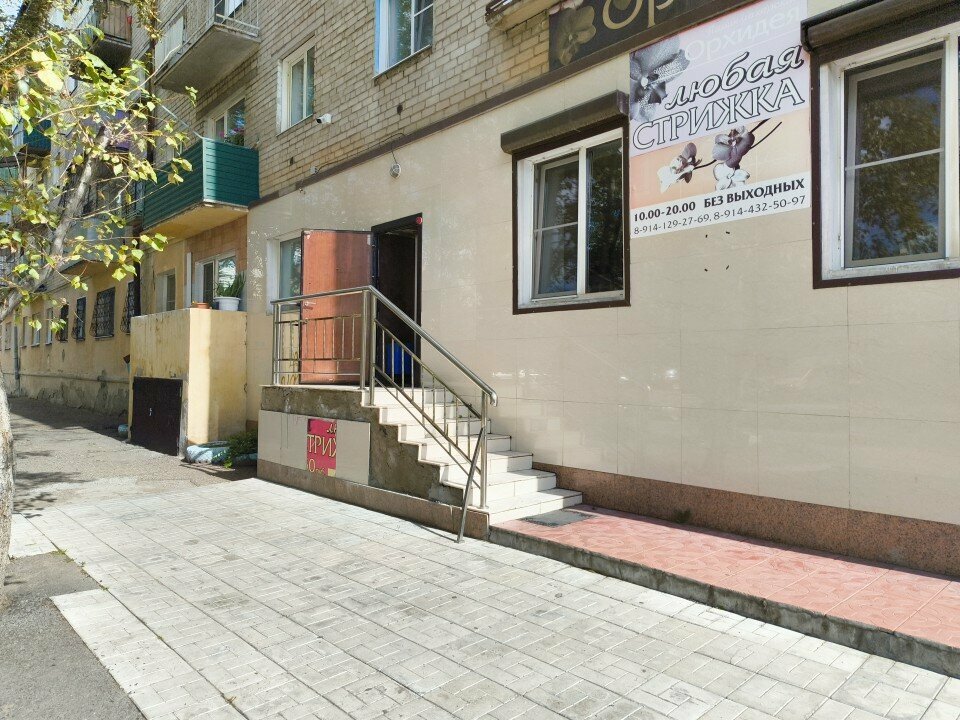 Kuaförler Орхидея, Çita, foto