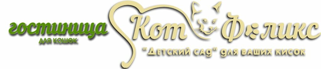 Pet otel Kot Felix, Tomsk, foto