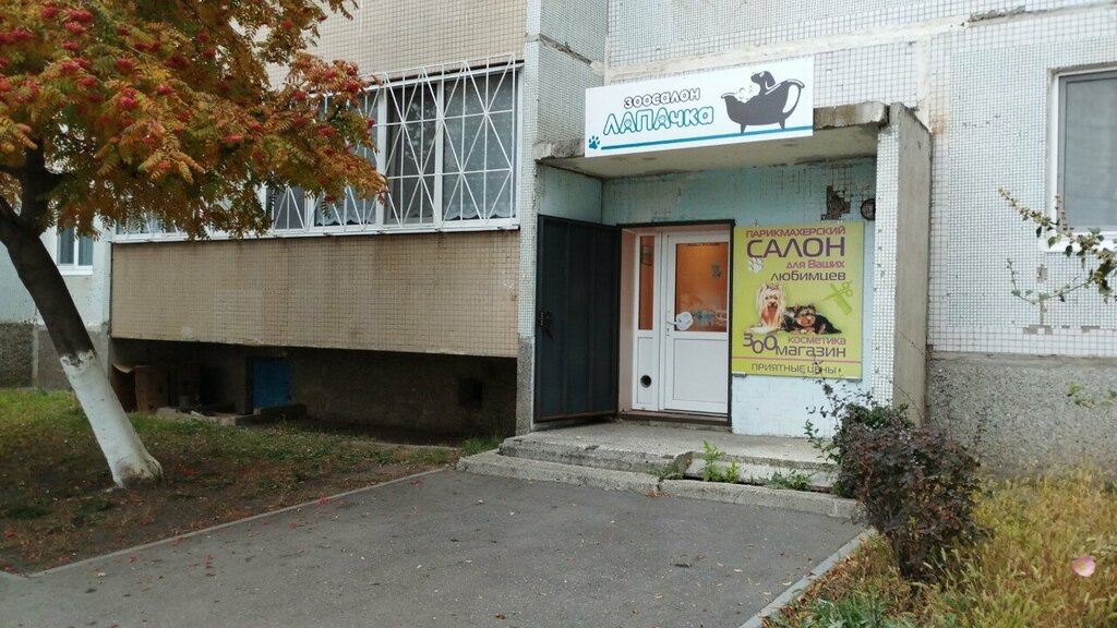 Evcil hayvan kuaförleri Лапачка, Ulyanovsk, foto