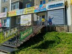 Новая Жизнь (No:2, mikrorayon 12A), firma açılışı ve tasfiye işlemleri  Angarsk'tan