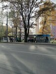 Pramyslovaja vulica (Bresckaja voblasć, Baranavichy, Pramyslovaja vulica), toplu taşıma durağı  Baranavichy'den