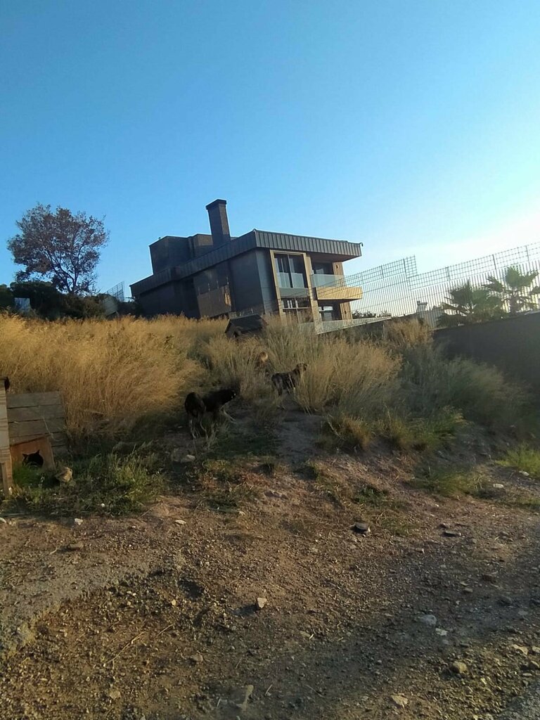 Anaokulları Üstün Dökmen Yaşam Boyu Gelişim Ve Eğitim Akademisi, İstanbul, foto