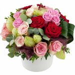 Göynük Çiçekçi (Antalya, Kemer, Göynük Mah., Atatürk Cad., 2), çiçekçiler  Kemer'den