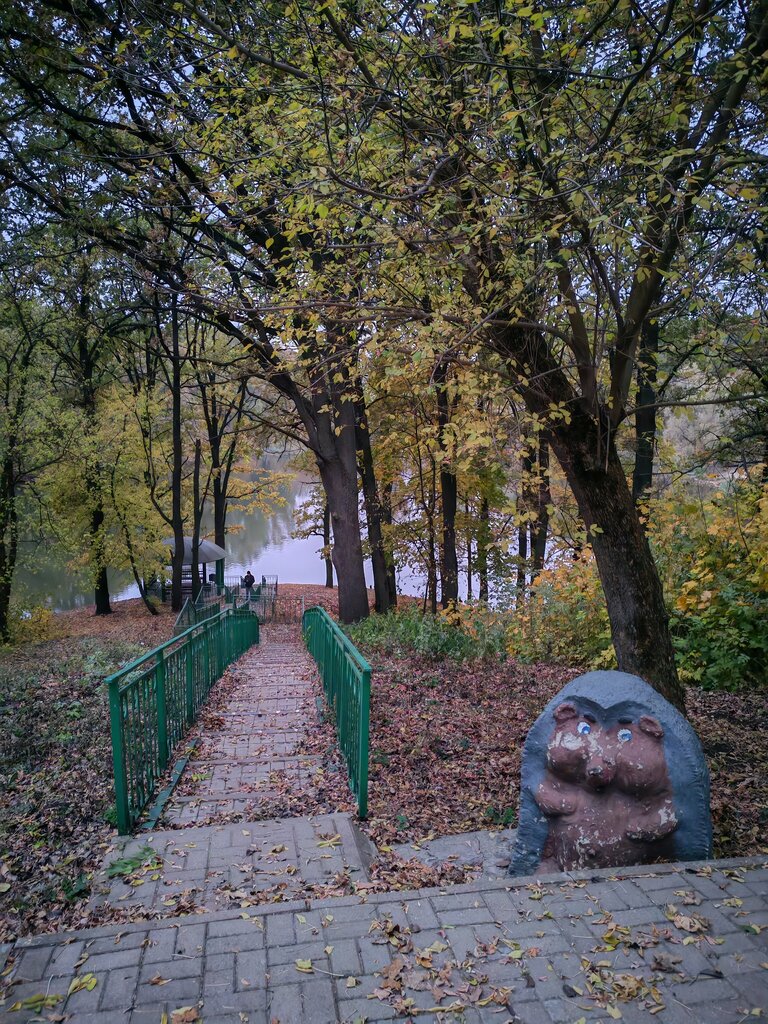 Orman урочище Зелёная Дубрава, Belgorodskaya oblastı, foto