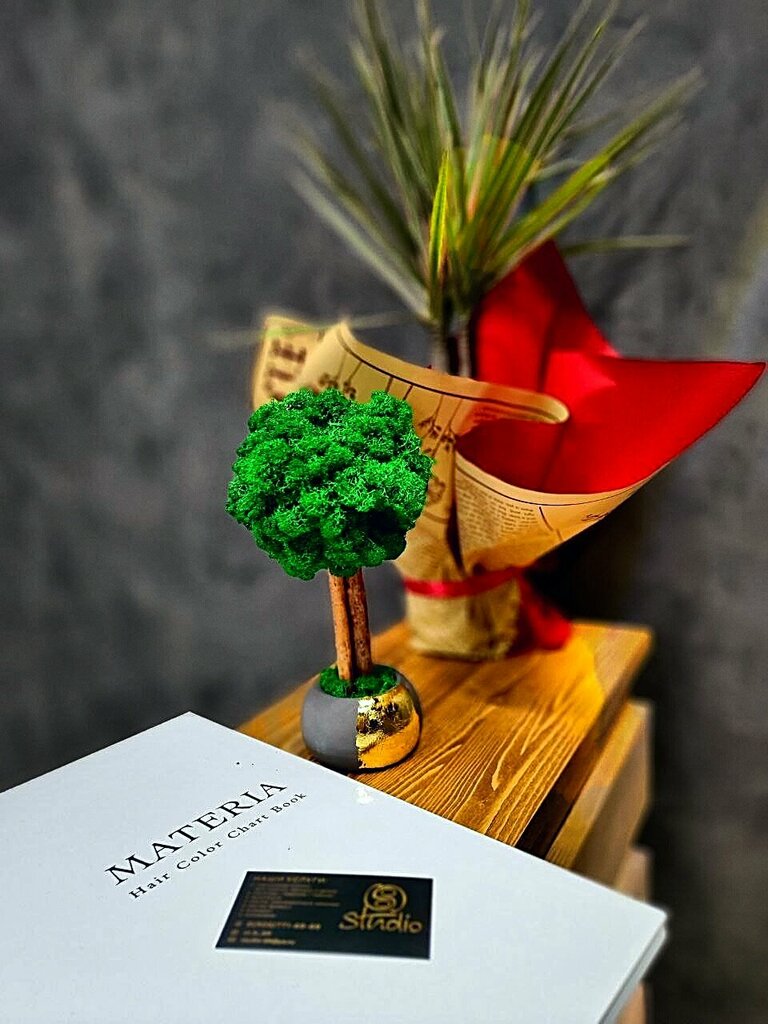 Güzellik salonu Studio-butik 69, Moskova, foto