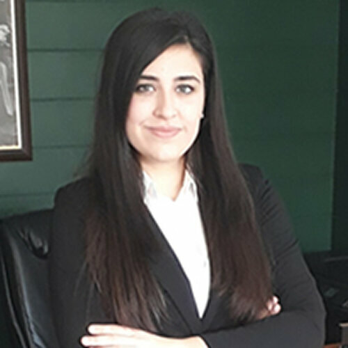 Hukuk büroları Bugur Hukuk, İzmir, foto